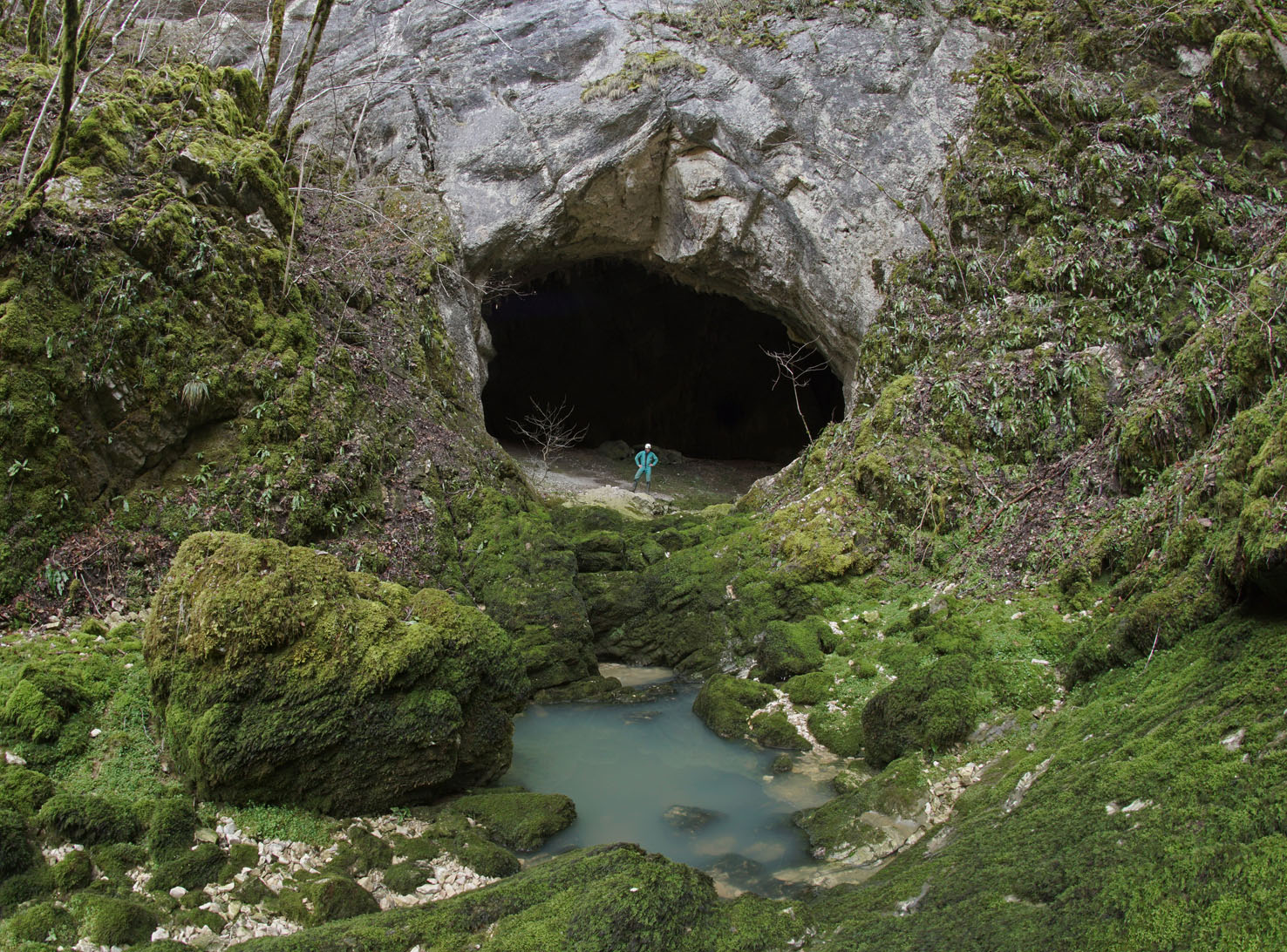 Une invitation à (re)découvrir la Baume Archée. - GCPM